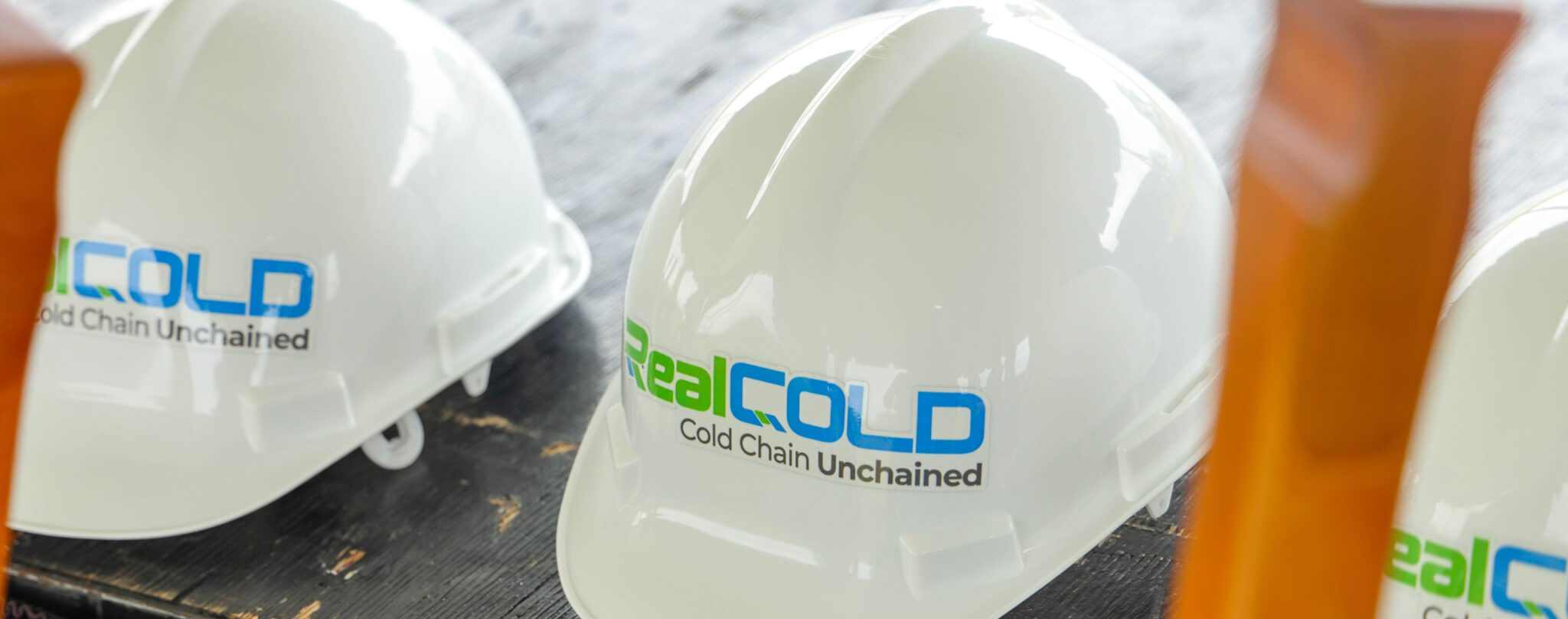 Your Strategic Cold Chain Partner | About RealCold